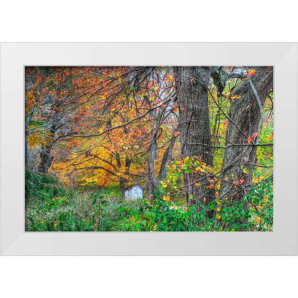 Goldwitz, Robert 32x23 White Modern Wood Framed Museum Art Print Titled ...