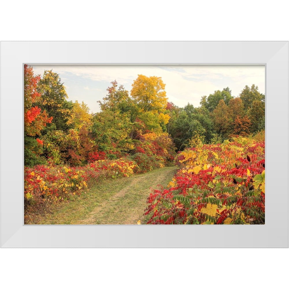 Goldwitz, Robert 32x23 White Modern Wood Framed Museum Art Print Titled ...