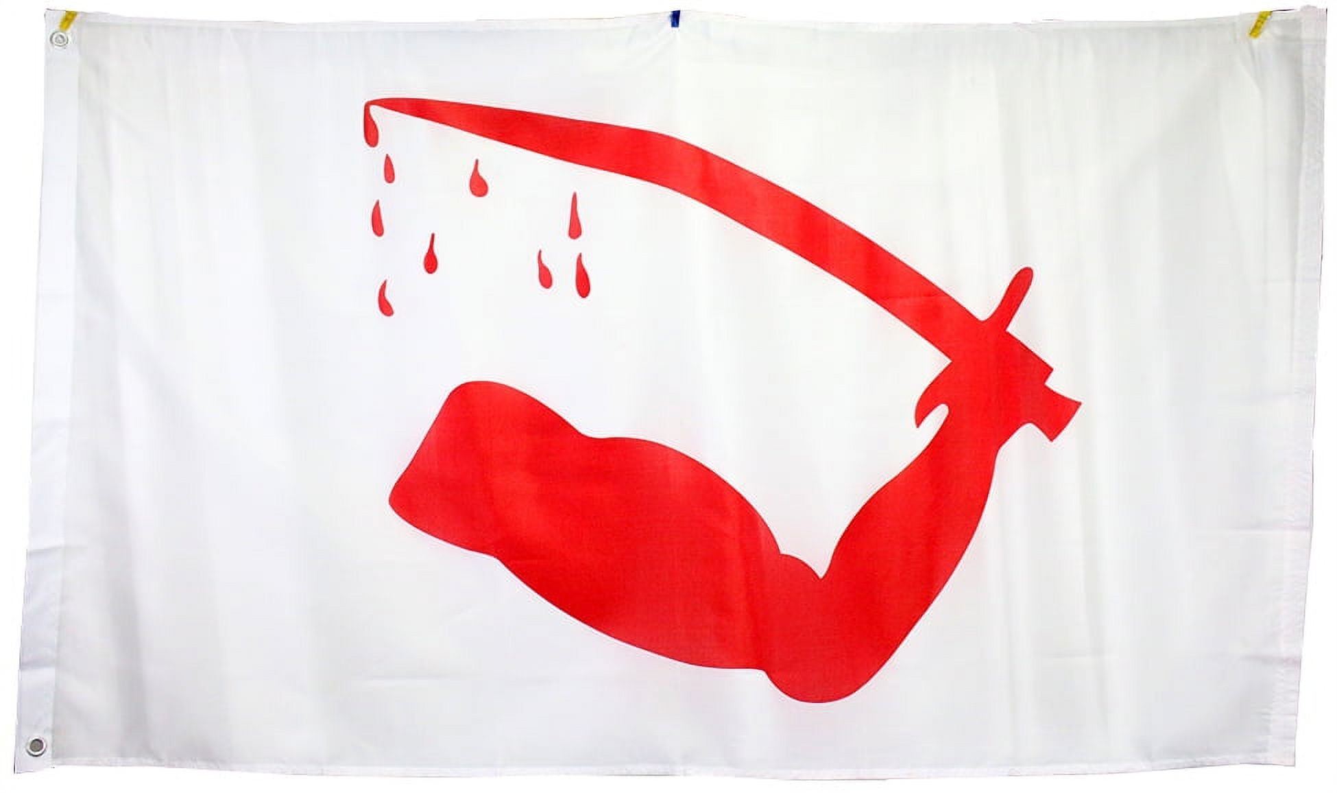 Goliad Flag 3x5 ft. Super Polyester Flag Banner Indoor /Outdoor ...