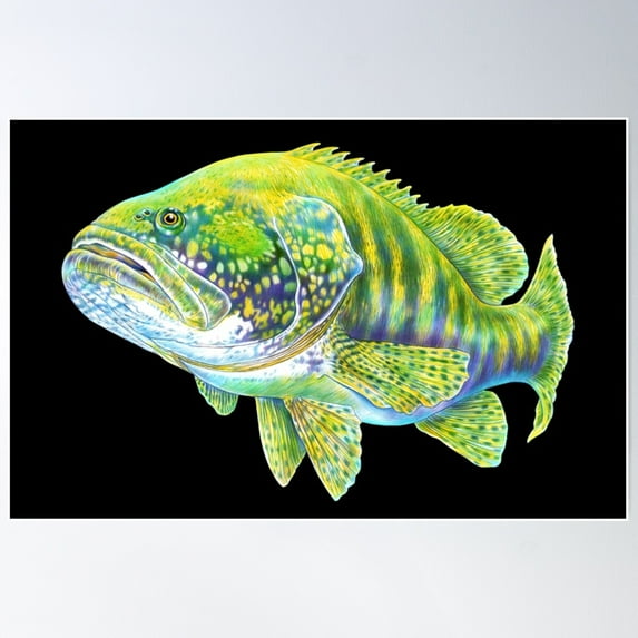 Goliath Grouper Poster Wall Art, Modern Wall Decor For Living Room ...