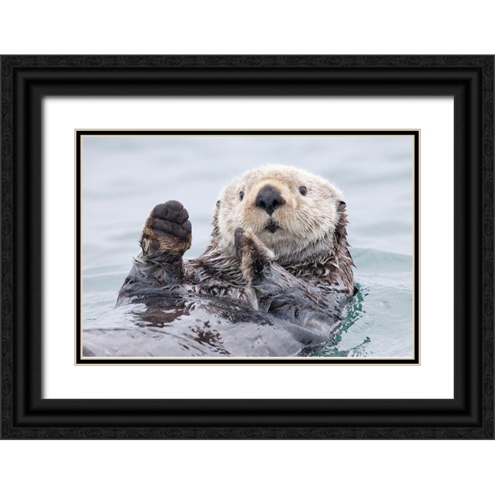 Golubenko, Roman 32x23 Black Ornate Wood Framed with Double Matting ...