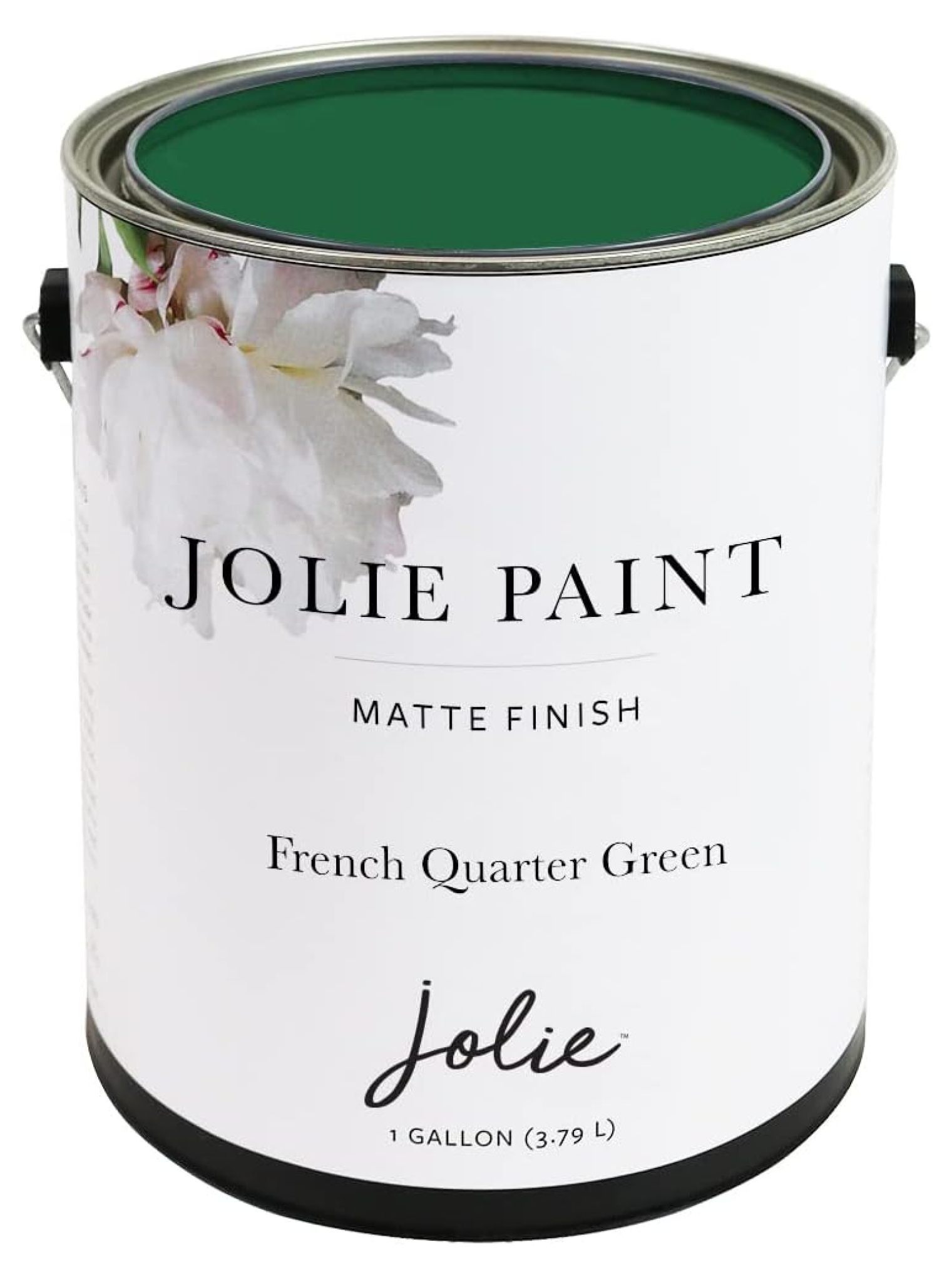 GolySw Paint – Chalk Finish for Furniture, Cabinets, and Décor, Green ...