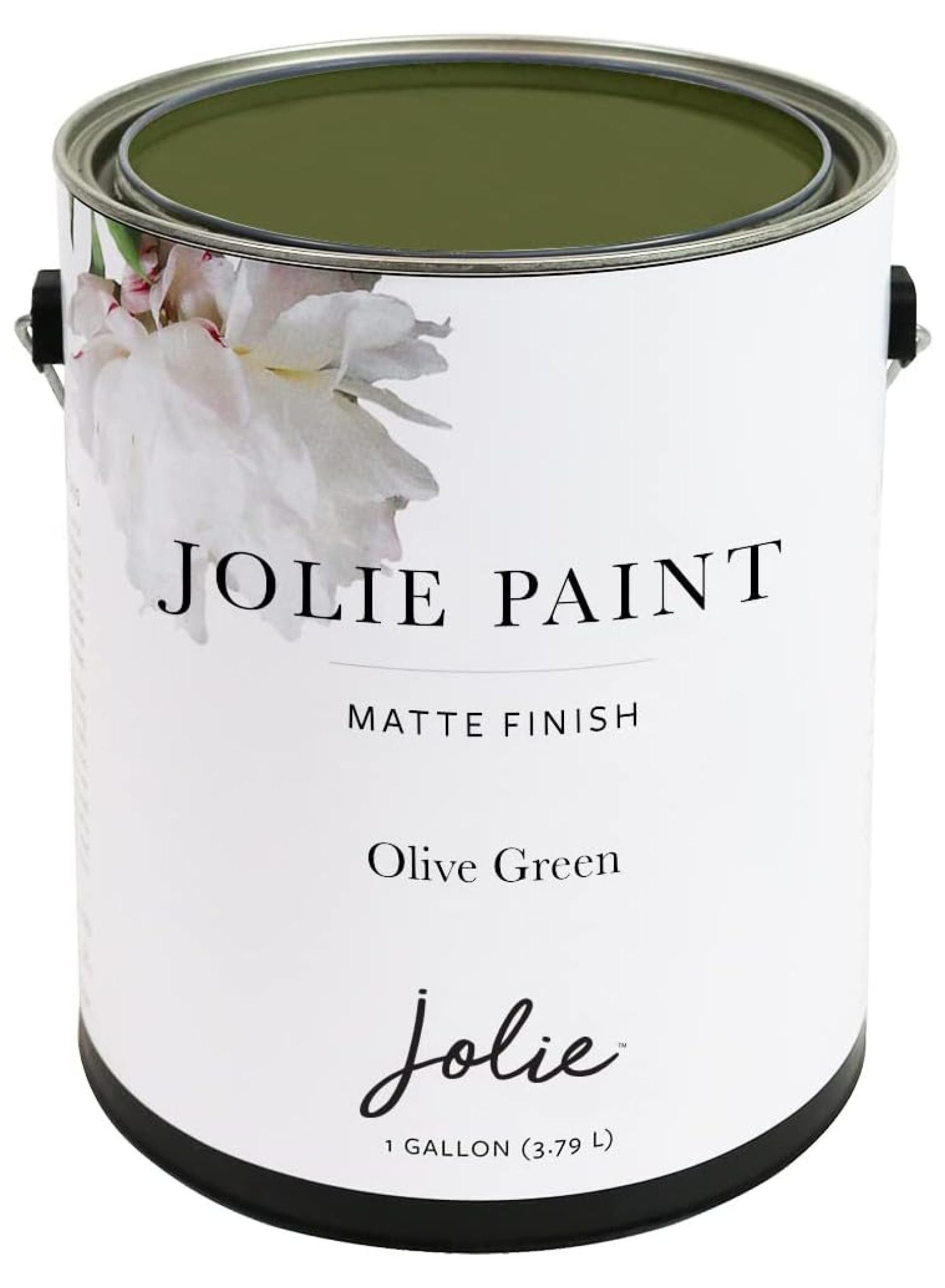 GolySw Paint – Chalk Finish for Furniture, Cabinets, and Décor, Green Wise Certified, No Priming ...
