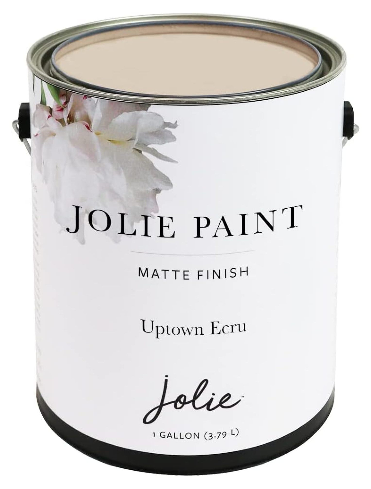 GolySw Paint – Chalk Finish for Furniture, Cabinets, and Décor, Green ...