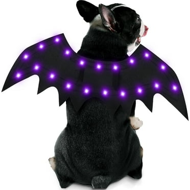 Halloween Cat Bat Wings Pet Costume for Halloween Party Decorations ...