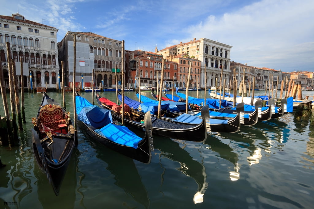 Gondolas on the Grand Canal Venice Italy Photo Photograph Cool Wall Art ...