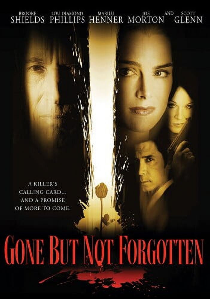 Gone But Not Forgotten (DVD), Mill Creek, Mystery & Suspense - Walmart.com