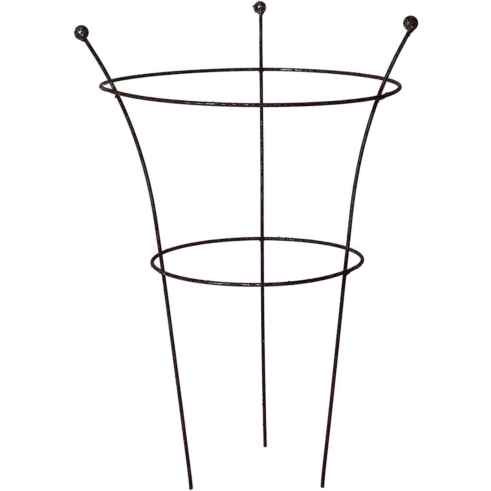 Gongjisey Seed Disseminators Plants 3 Herbaceous Rings Ruddings of ...