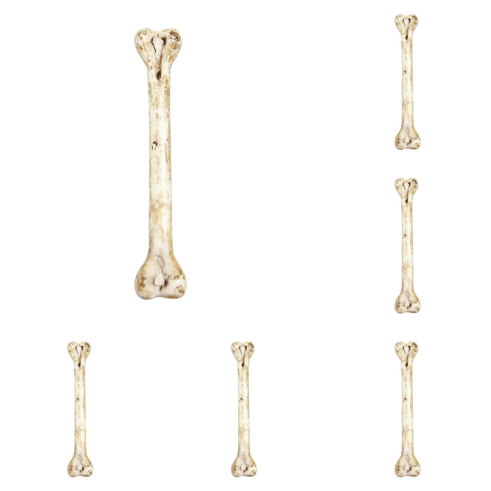 Gonhod 1/2/3/4/5/6/7/8/9/10Pcs 3/4inch Mini Skeleton Bones Bone ...