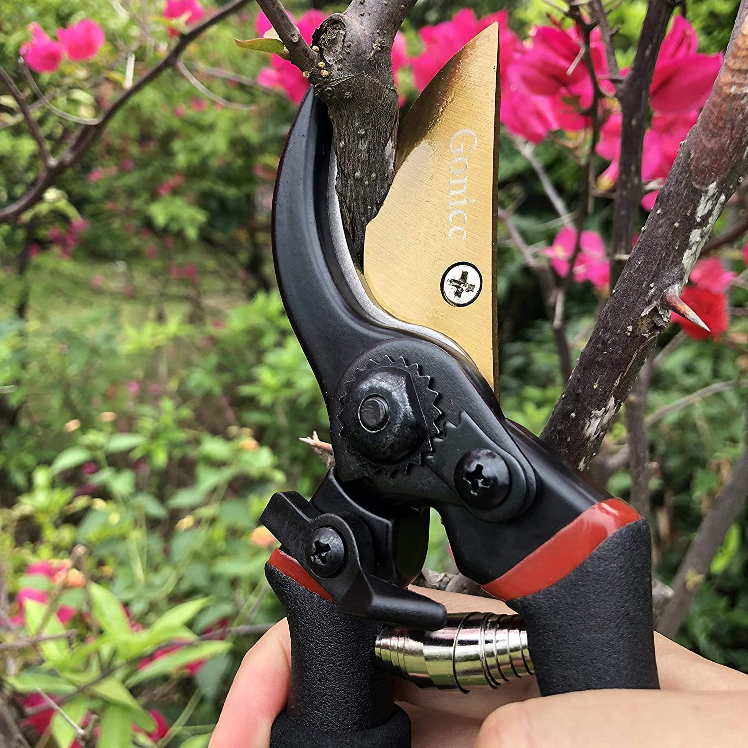 Gonicc 8" Professional Premium Bypass Pruning Shears (GPPS-1003) and 30 ...