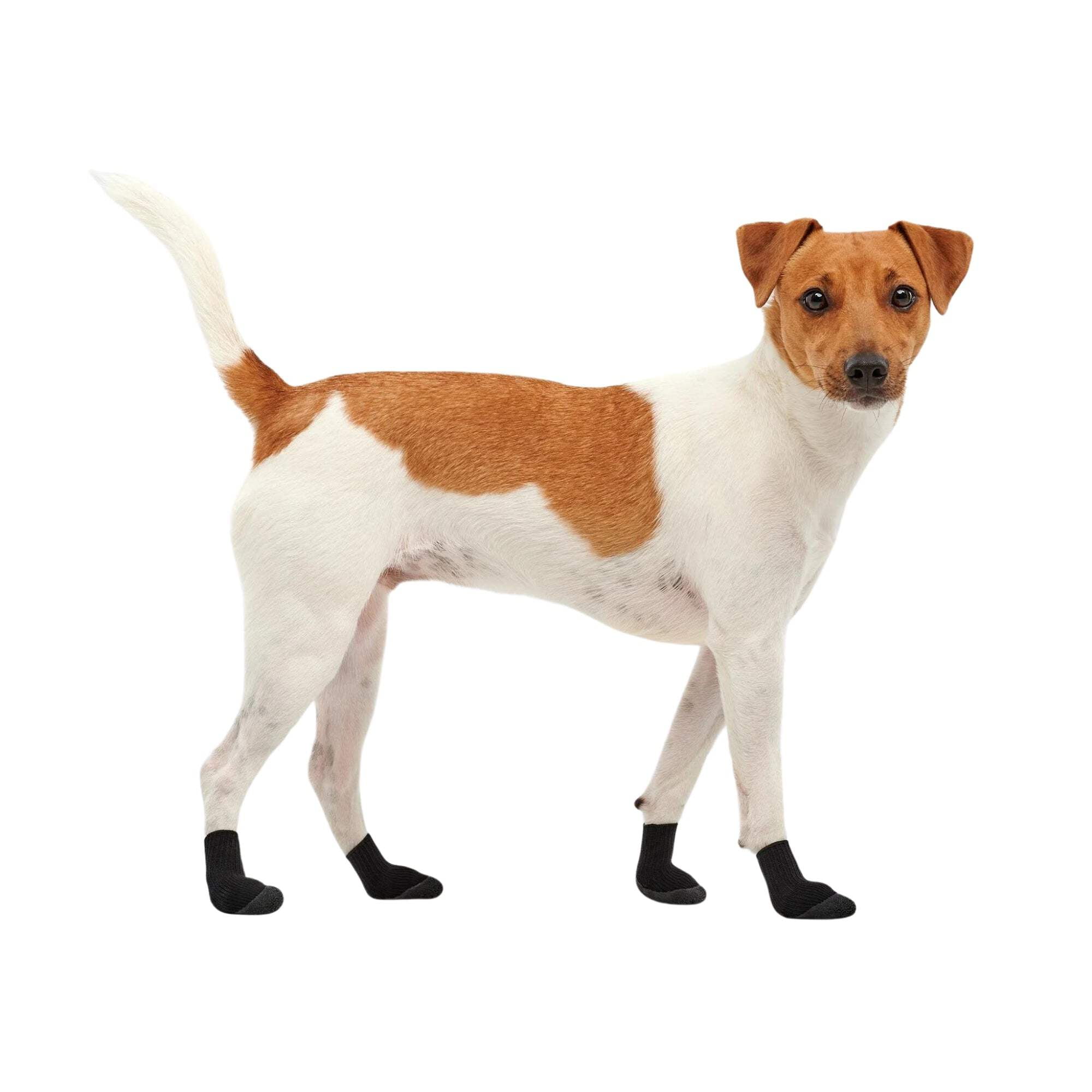 Goo-Eez Lites All Season Terrain Dog Booties Black XSmall 4Pk - Walmart.com
