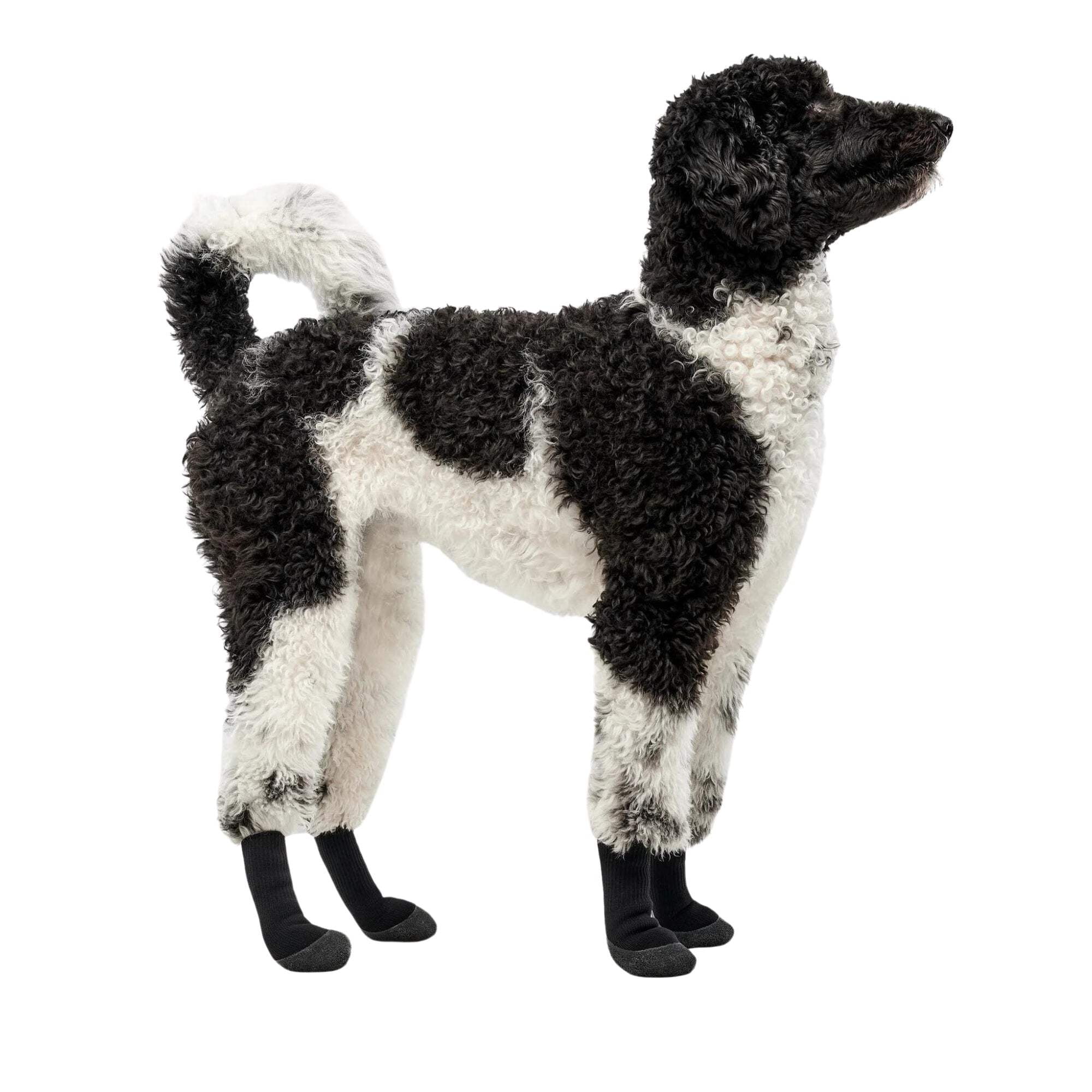 Goo-Eez Lites All Season Terrain Dog Booties Black XXSmall 4Pk ...