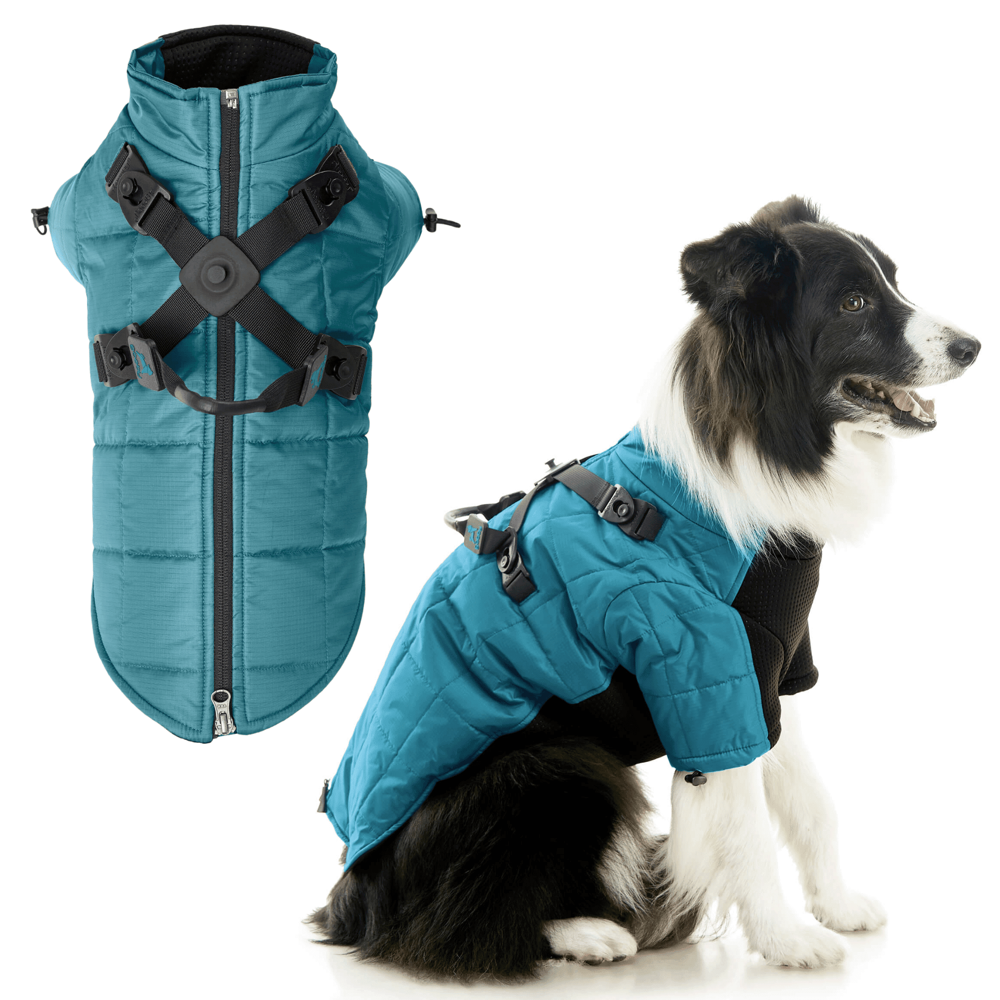 Gooby Alpine Explorer - Celestial, Medium - Waterproof Jacket with Easy-Snap and Swivel Buckle ...