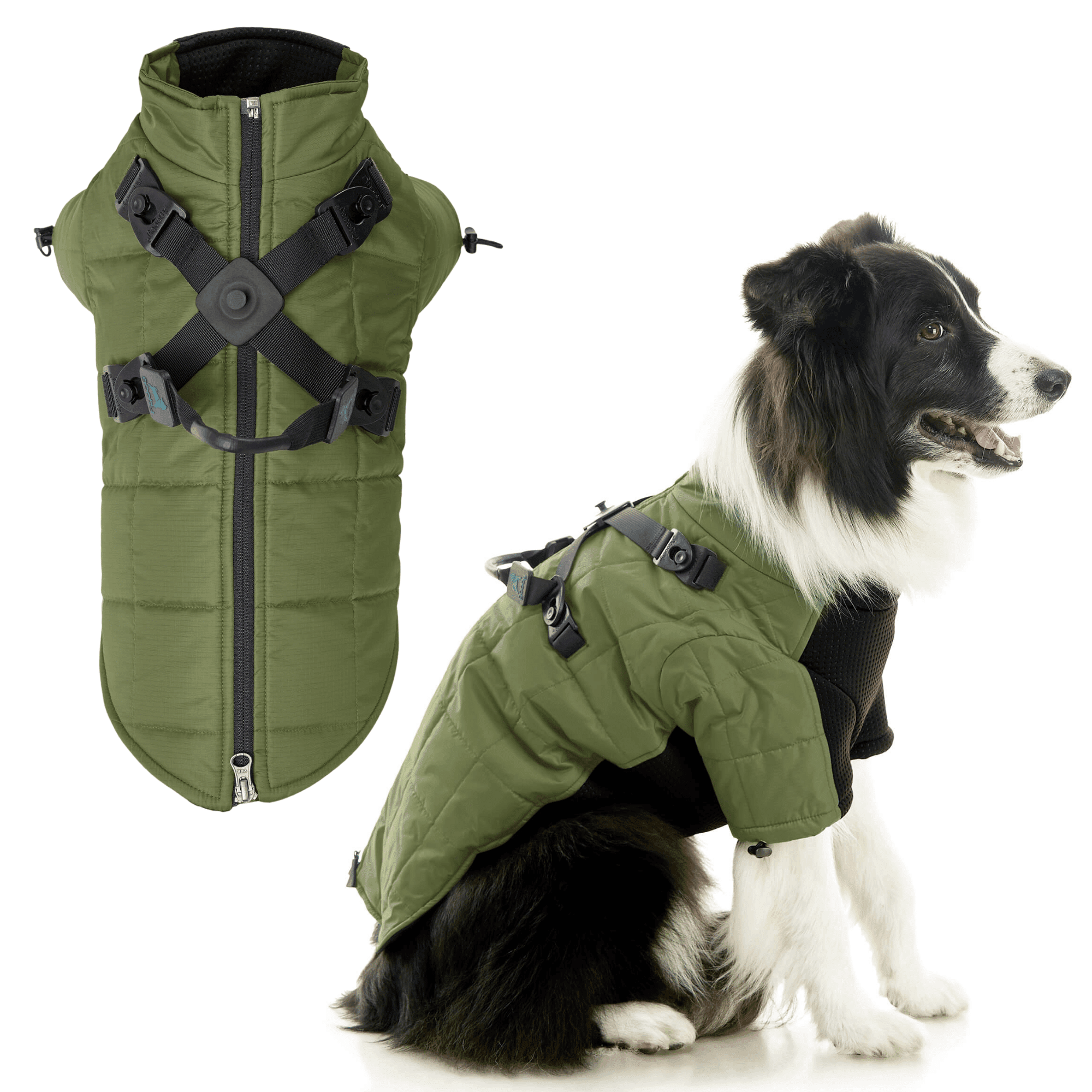 Gooby Alpine Explorer - Olive Branch, Large - Waterproof Jacket with ...