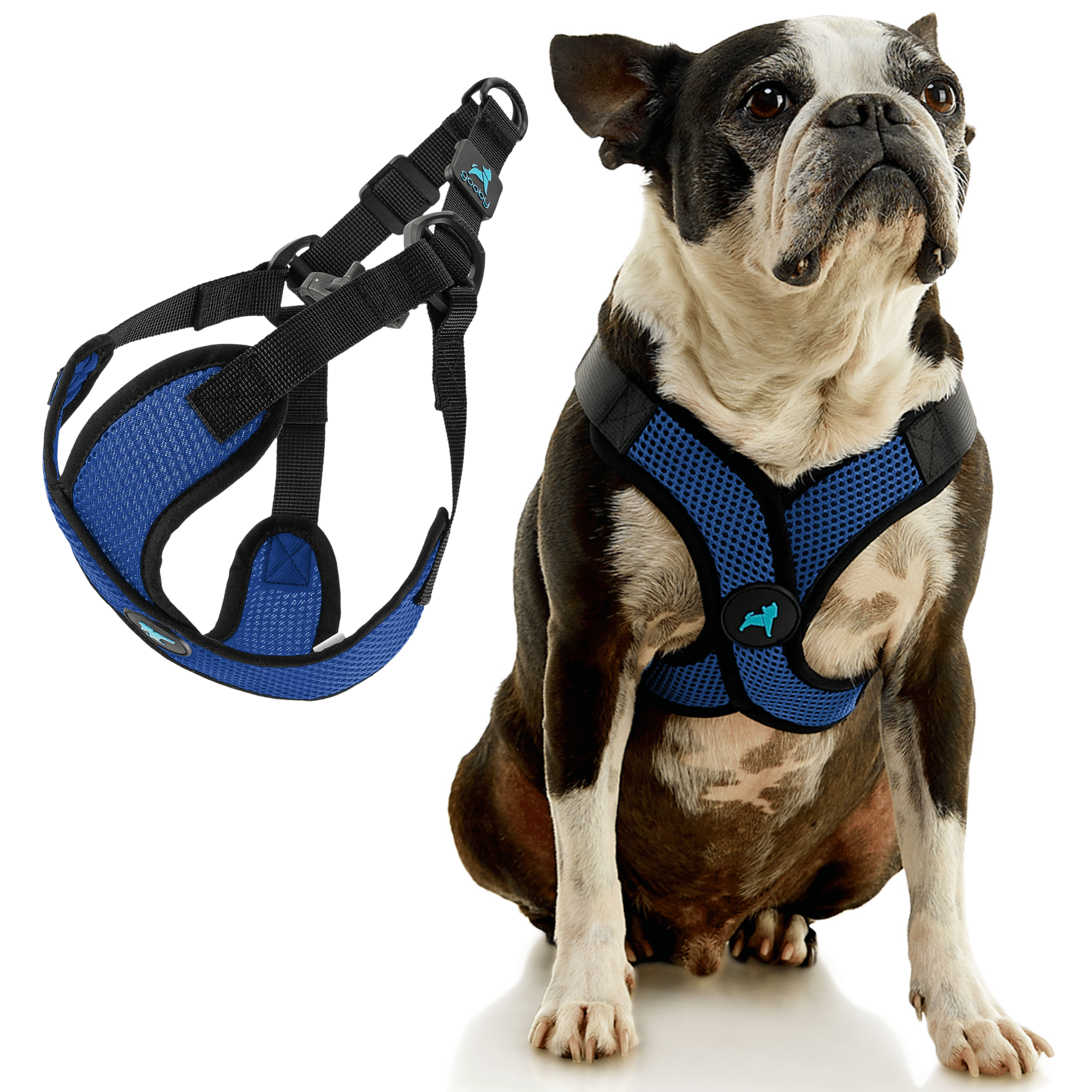 Blue Frog 1X Track N Guard GPS Message Ready & Built-In I.D. Tag Dog ...