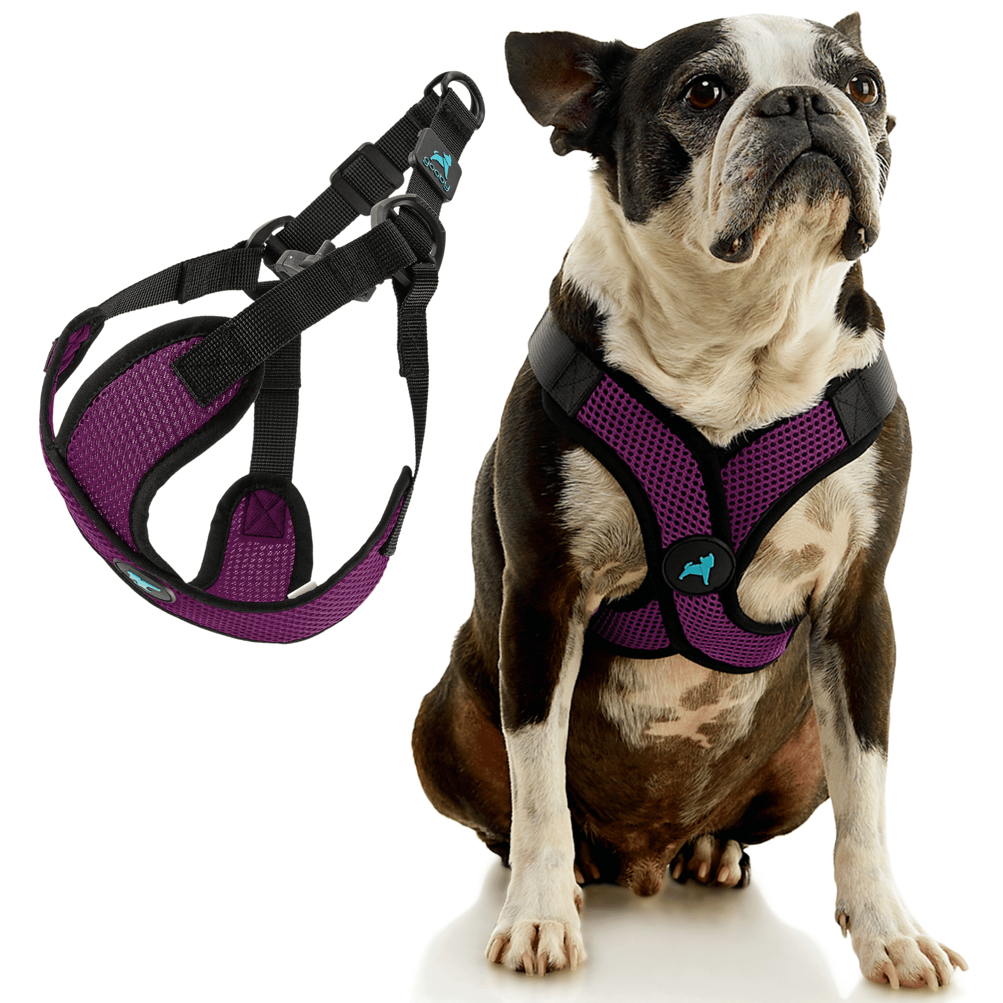 Gooby Comfort X Step In Lite Harness, Purple, X-Small, Lightweight Mesh ...