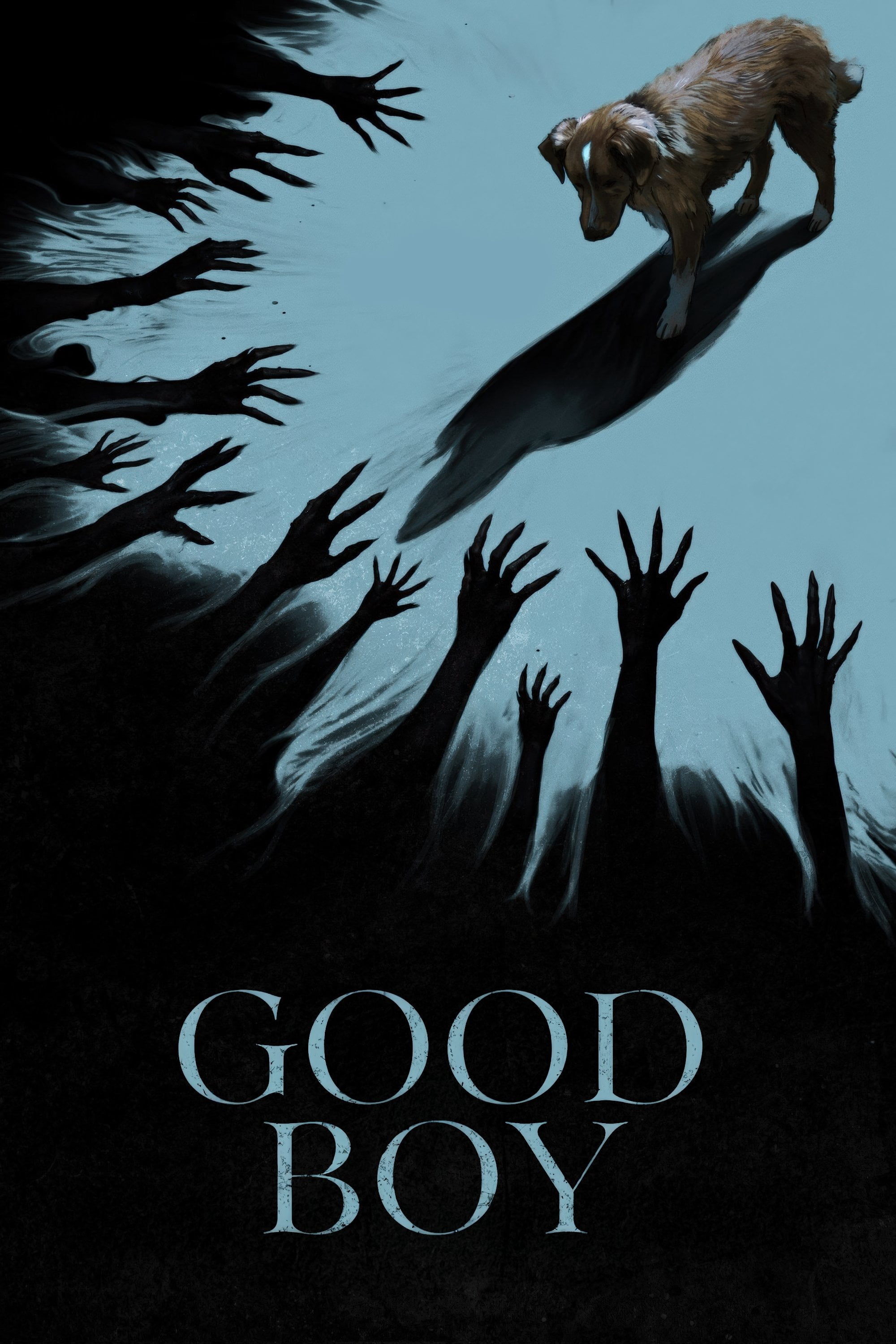 Good Boy (2025) DVD - Horror - Walmart.com