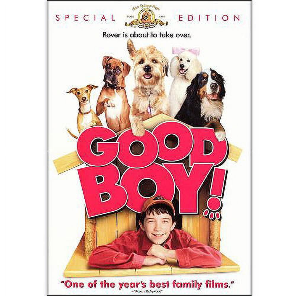 Good Boy (DVD, 2009) NEW - Walmart.com