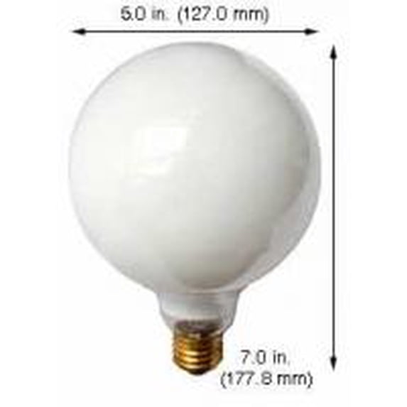 Good Bulb 25W G40 Globe Incandescent Bulb | E26 Medium Base | 130V ...