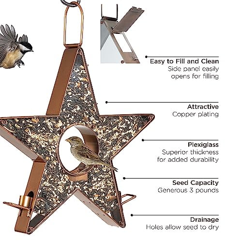 Good Directions Star Feeder with Plexiglass - Walmart.com