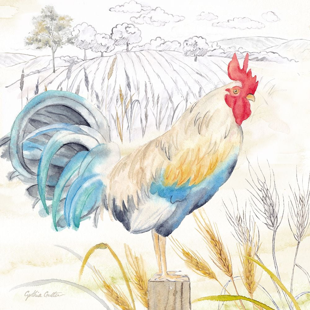 Good Morning Sunshine III Poster Print - Cynthia Coulter (12 x 12 ...