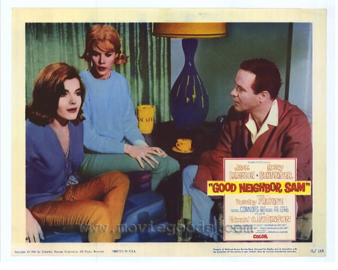 Good Neighbor Sam - movie POSTER (Style E) (11" x 14") (1964) - Walmart.com