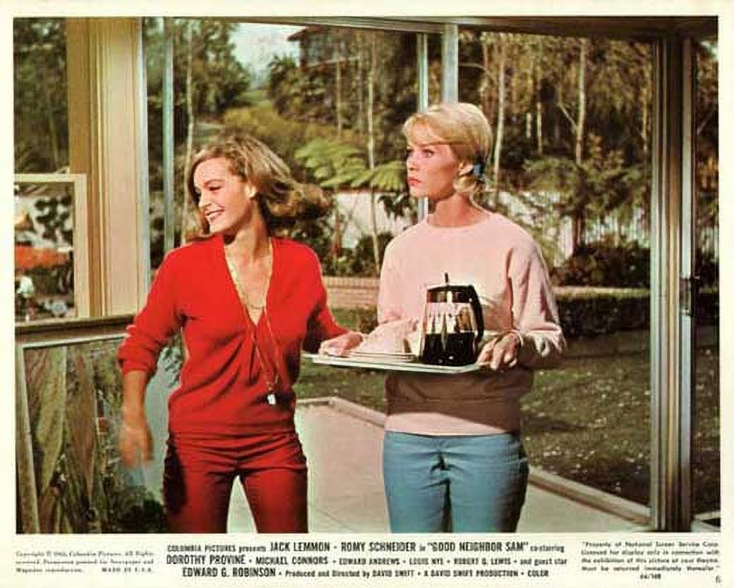 Good Neighbor Sam - movie POSTER (Style J) (11" x 14") (1964) - Walmart.com
