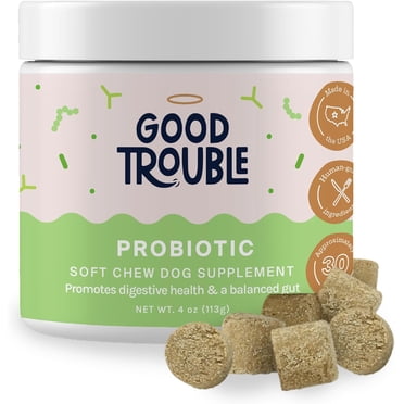 NaturVet Stool Ease - Digestive Supplement & Constipation Treatment for ...