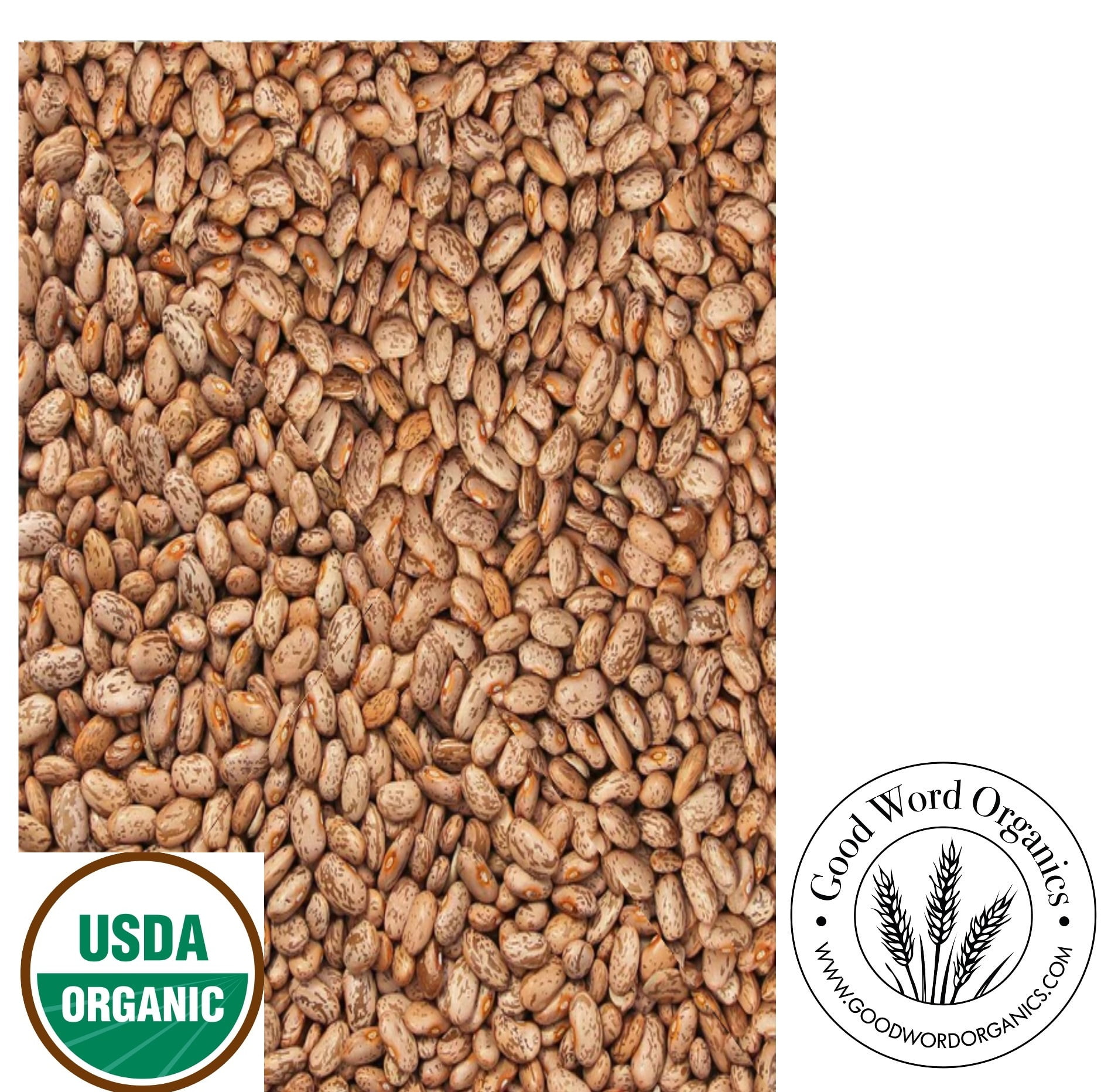 Good Word Organics Non-GMO Pinto Beans 5 lbs Bulk Legumes High Protein ...