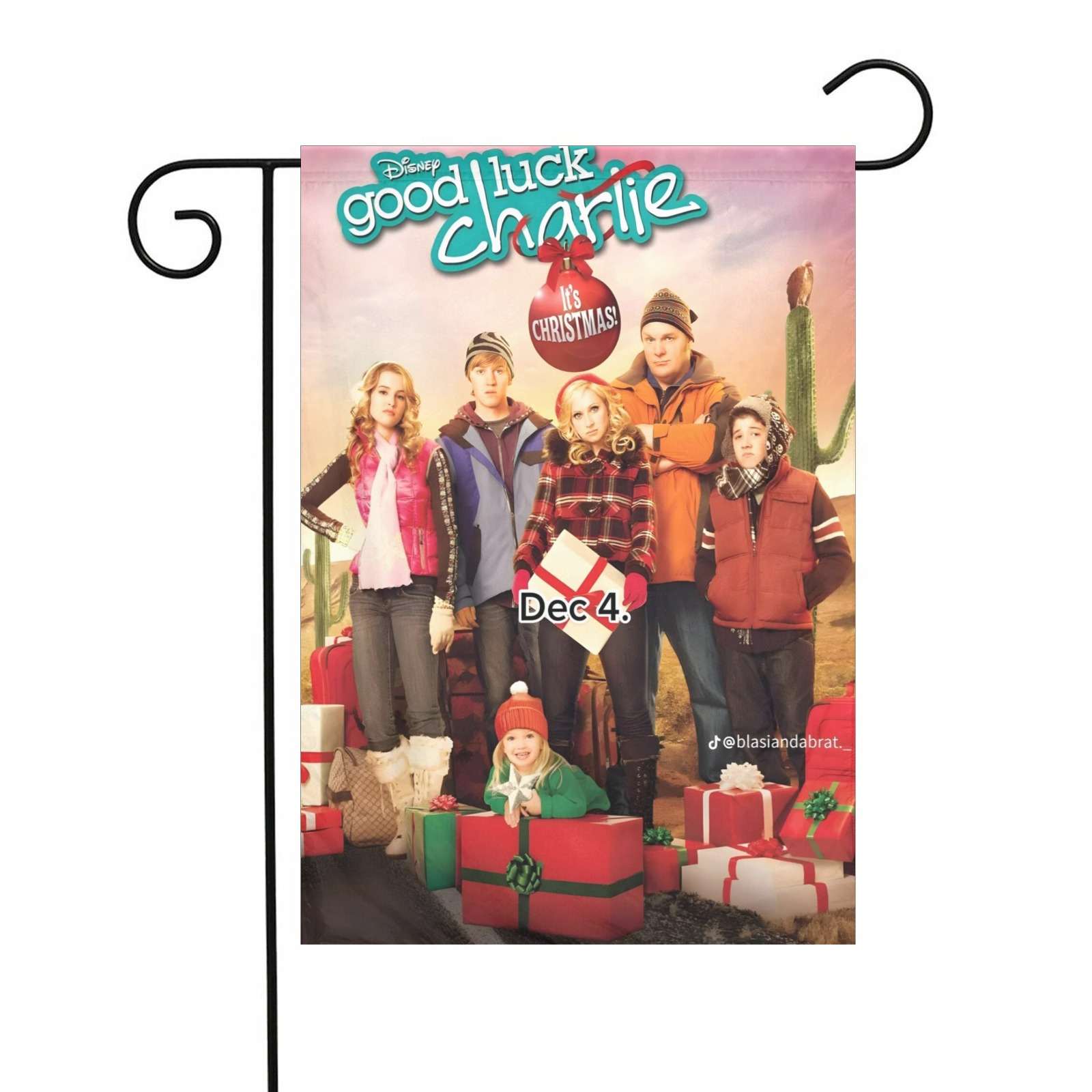 Good luck charlie garden flag perfect for outdoor decoration（28"x40 ...