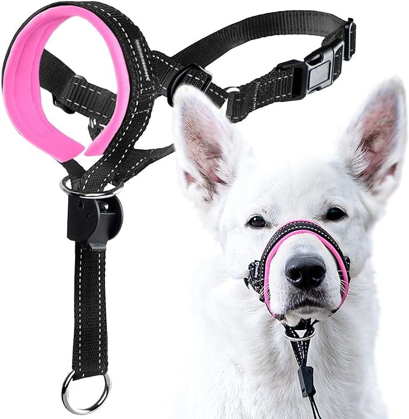 GoodBoy Dog Head Halter with Safety Strap - Stops Heavy Pulling On The ...
