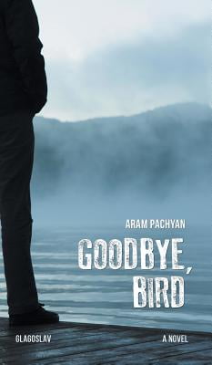 Goodbye, Bird (Hardcover) - Walmart.com