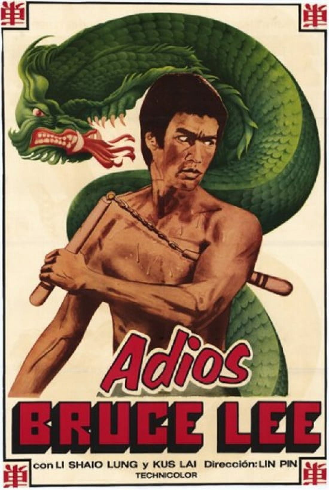 Goodbye Bruce Lee Movie Poster (11 x 17) - Walmart.com