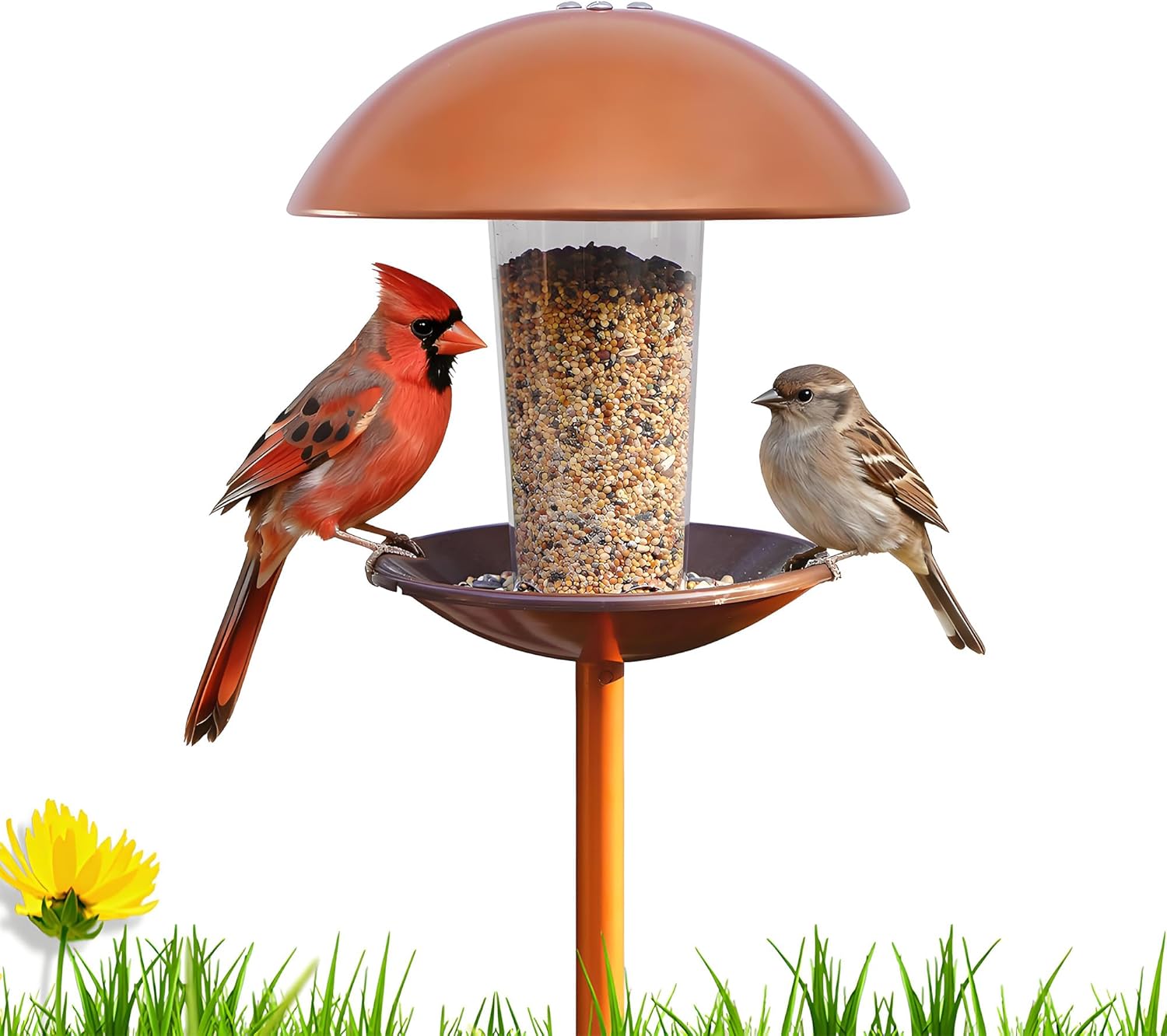 Goodeco Bird Feeder with Pole Standing - Metal Outdoor Bird Feeder for ...