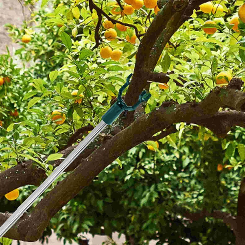 Goodhd 8 Pcs Fruit Tree Branch Crutch Support Decorative Branche For ...
