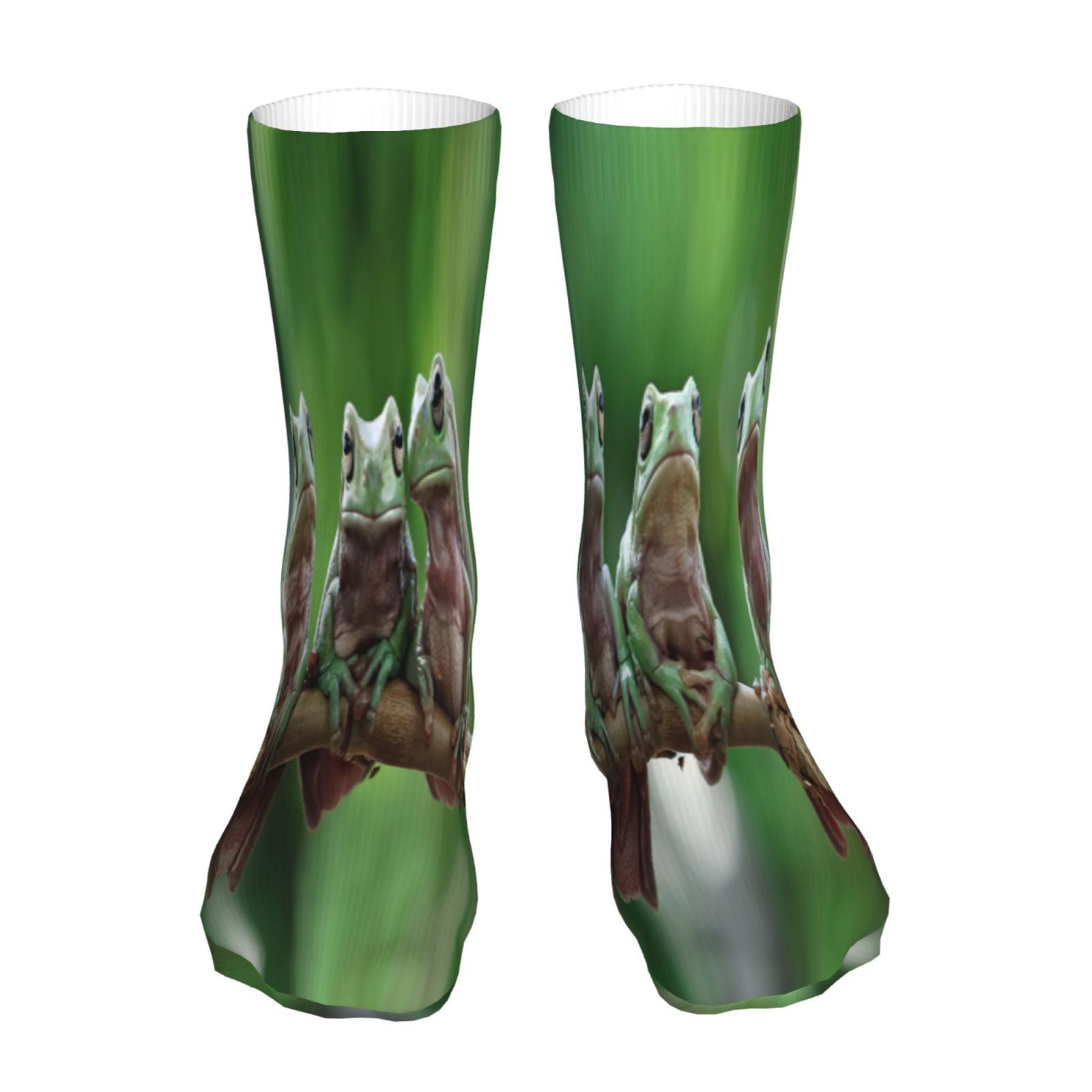 Goofa Australian White Tree Frog Sitting on Branch for 16in Socks ...