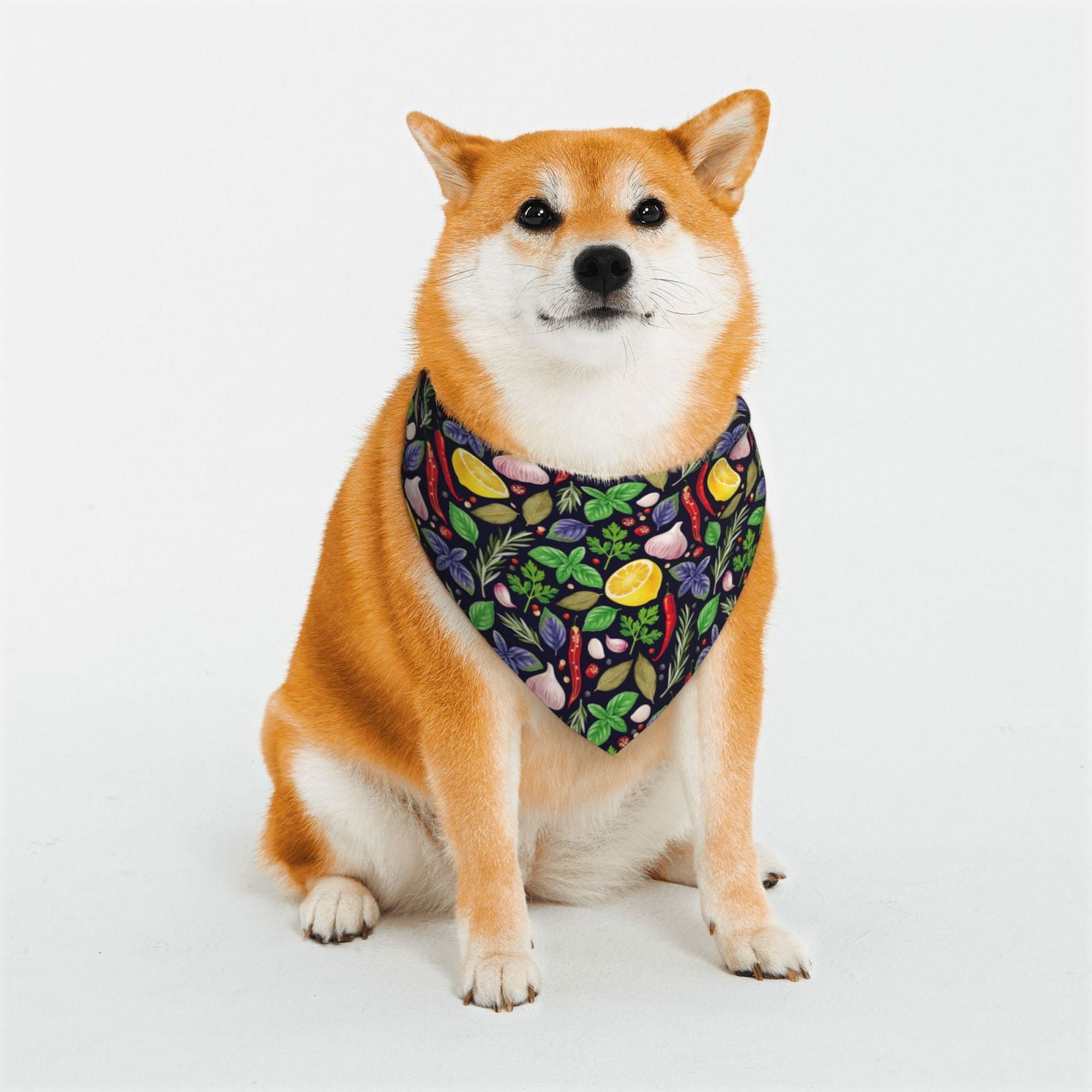 Goofa Herbs And Spices Pattern Pet Scarf Bandana - Adjustable and ...