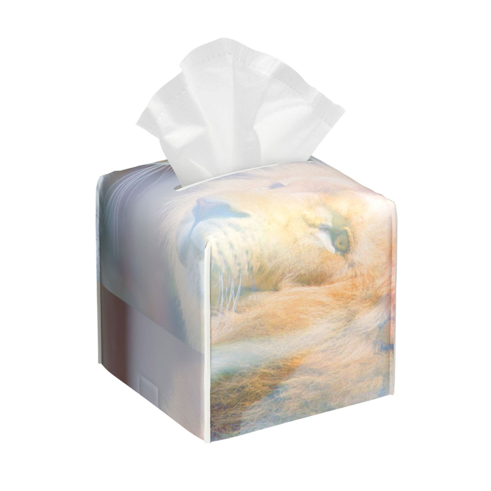 Goofa The Cat Looks in the Mirror Tissue Box Cover PVC Leather Tissue ...