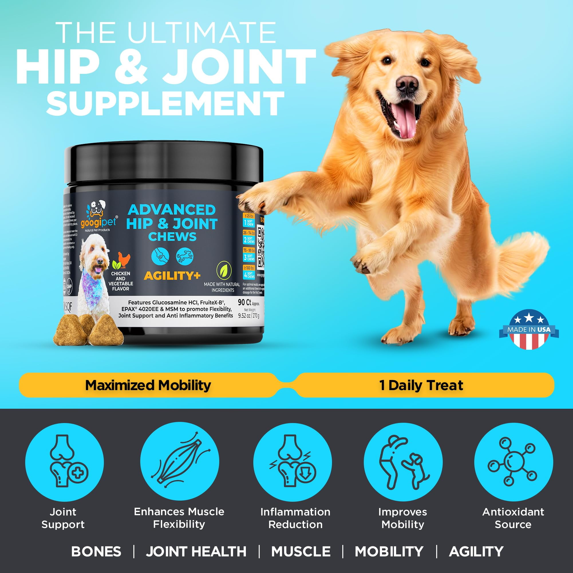 Googipet Hip and Joint Supplement for Dogs H2FSD- Glucosamine for Dogs ...