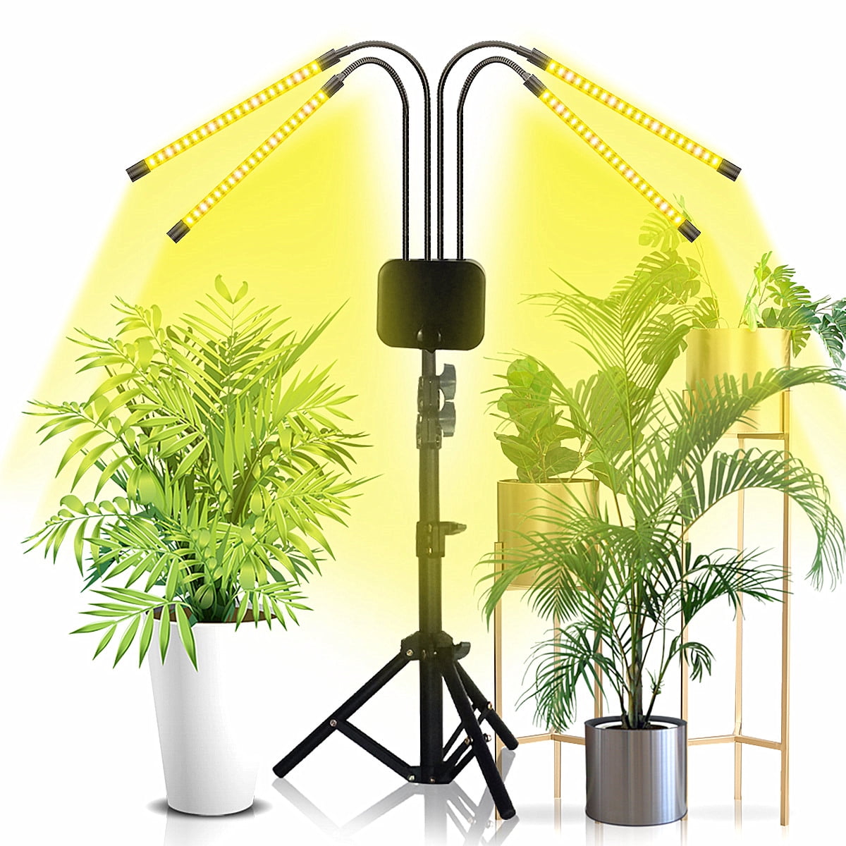 GooingTop 100W Grow Light with Stand, Gooseneck & Timer, LED for Indoor ...