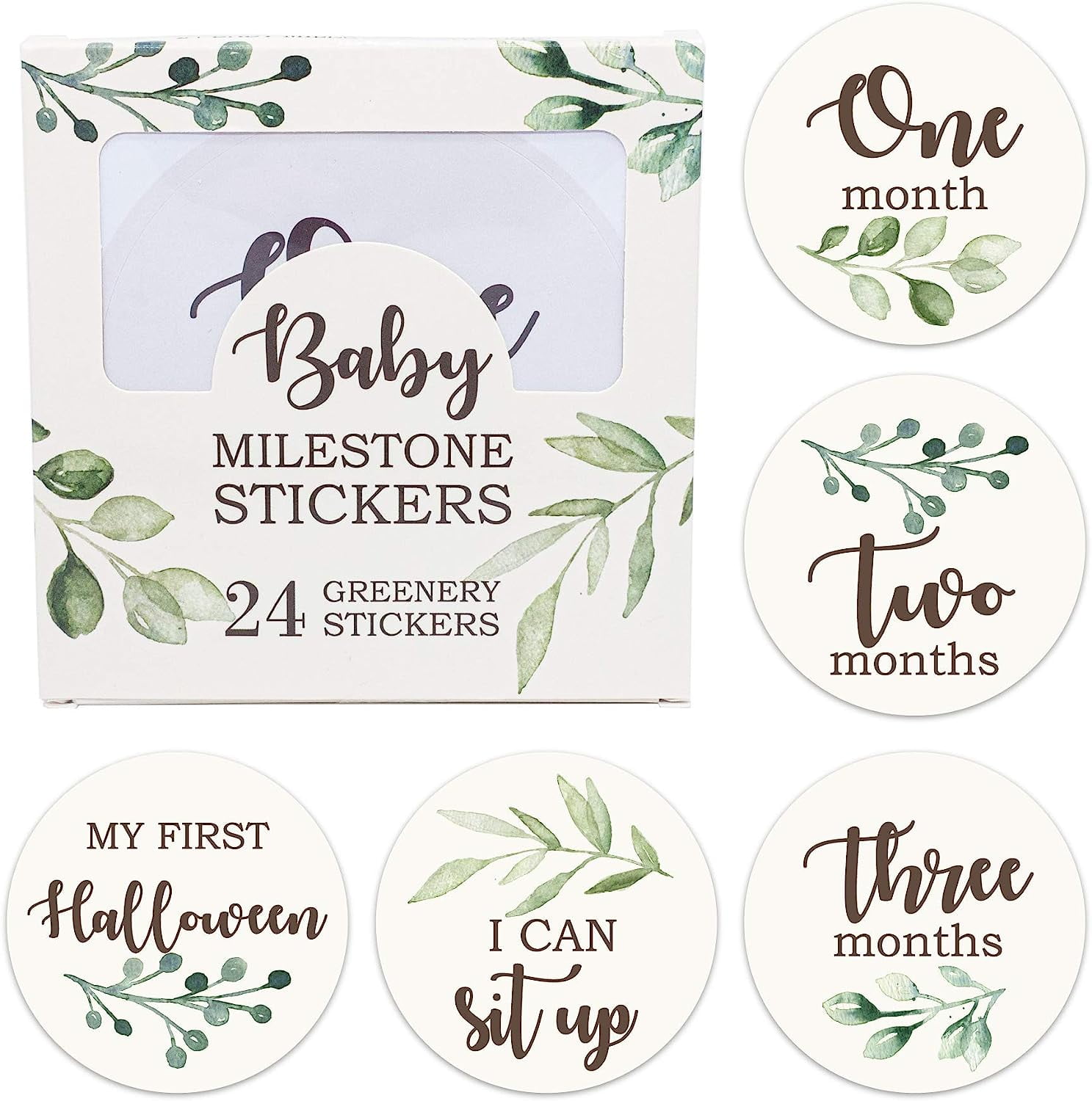 Gooji Baby Monthly Stickers – Premium Greenery Baby Milestone Stickers ...