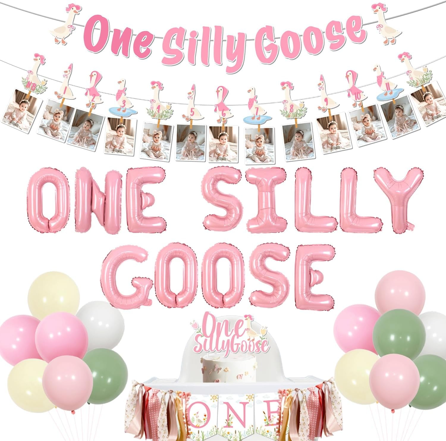 Goose 1st Birthday Party Decorations Pink One Silly Goose Banner Foil ...