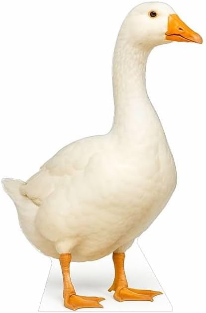 Goose 2FT Life Size Cardboard Cutout – Farm Animal Fun Standup for ...