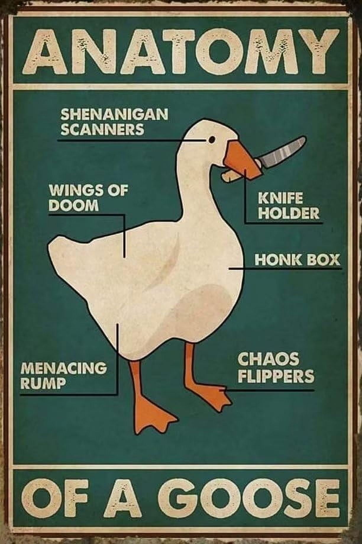 Goose Diamond Art Kits for Adults,5D Painting Art Kits Anatomy Of A ...