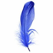 152489 Da Bird Feather Refill, 3pk - Walmart.com