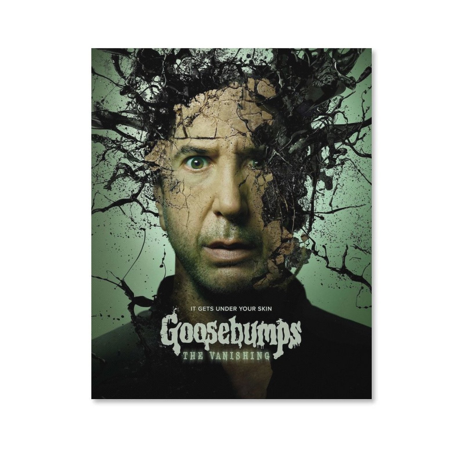 Goosebumps The Vanishing Film Decorative Painting Canvas Wall Poster ...