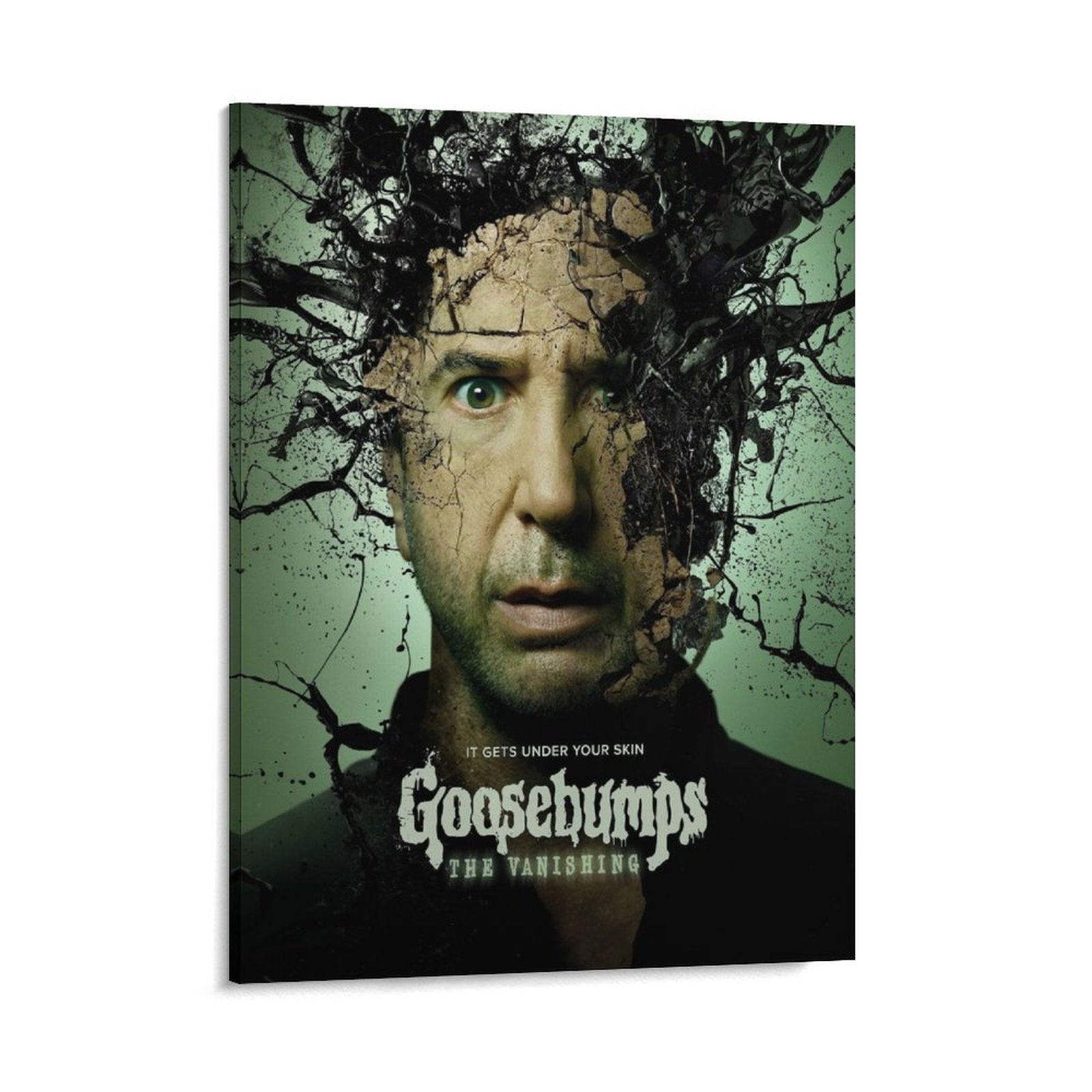 Goosebumps The Vanishing Film Decorative Painting Canvas Wall Poster ...