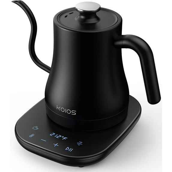 Gooseneck Electric Kettle with Temperature Control, 27oz/0.8L Fast Heat ...