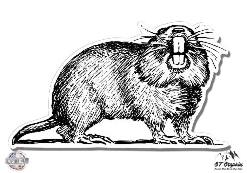 Gopher Hand Drawn - 12" Vinyl Sticker Waterproof Decal - Walmart.com