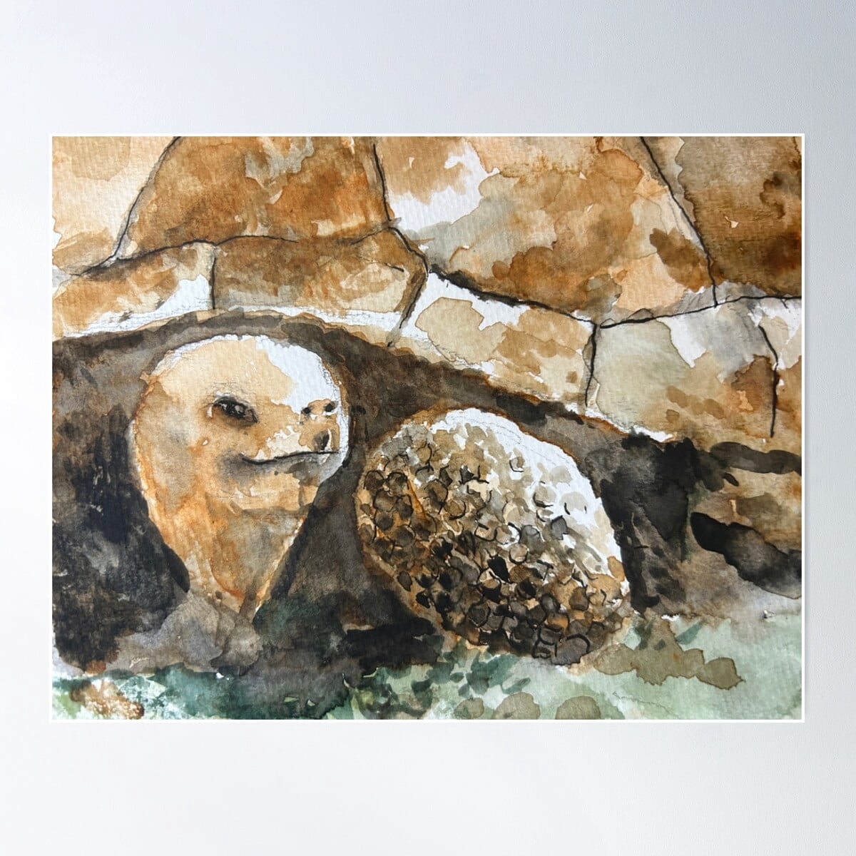 Gopher Tortoise Poster Wall Art, Modern Wall Decor For Living Room ...